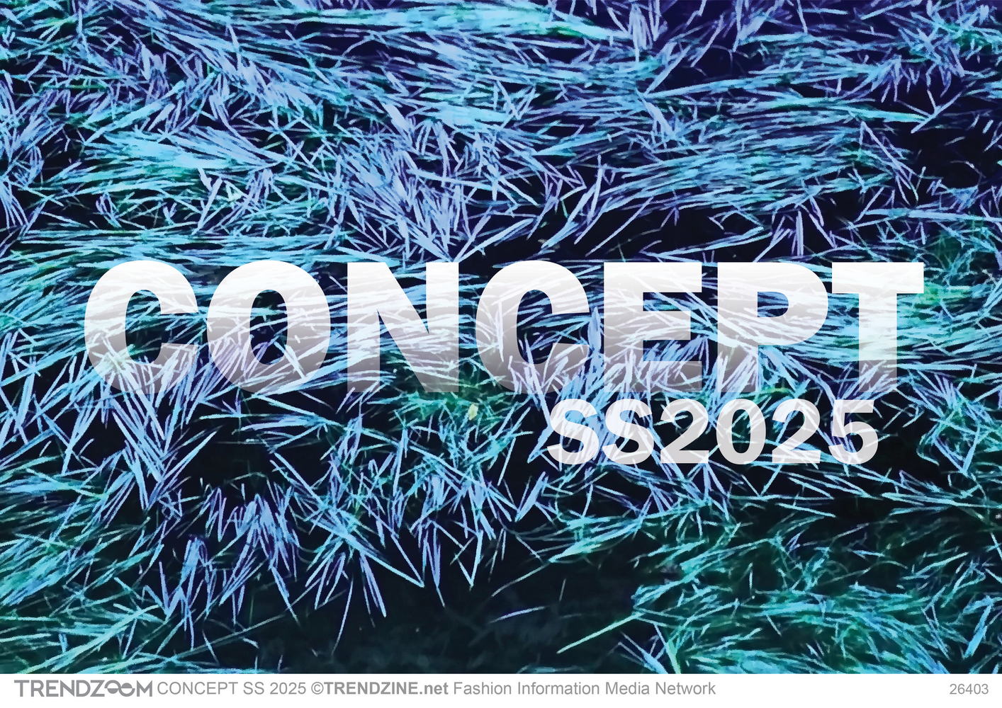 CONCEPT Forecast SS 2025 | TRENDZOOM